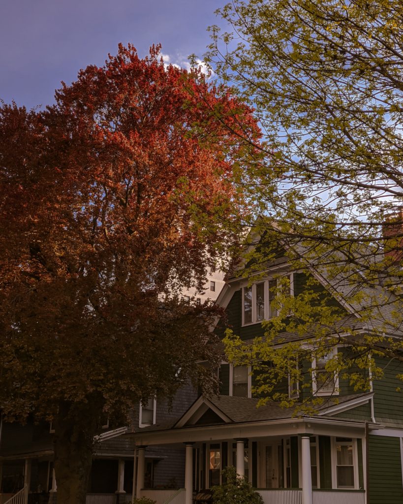 Serving the communities of Flatbush and Midwood since 1978 | Brooklyn Community Board 14