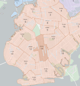 Serving the communities of Flatbush and Midwood since 1978 | Brooklyn Community Board 14